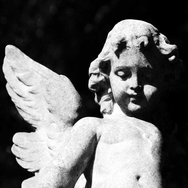 The new Cold Cave album, Passion Depression – Heartworm Press